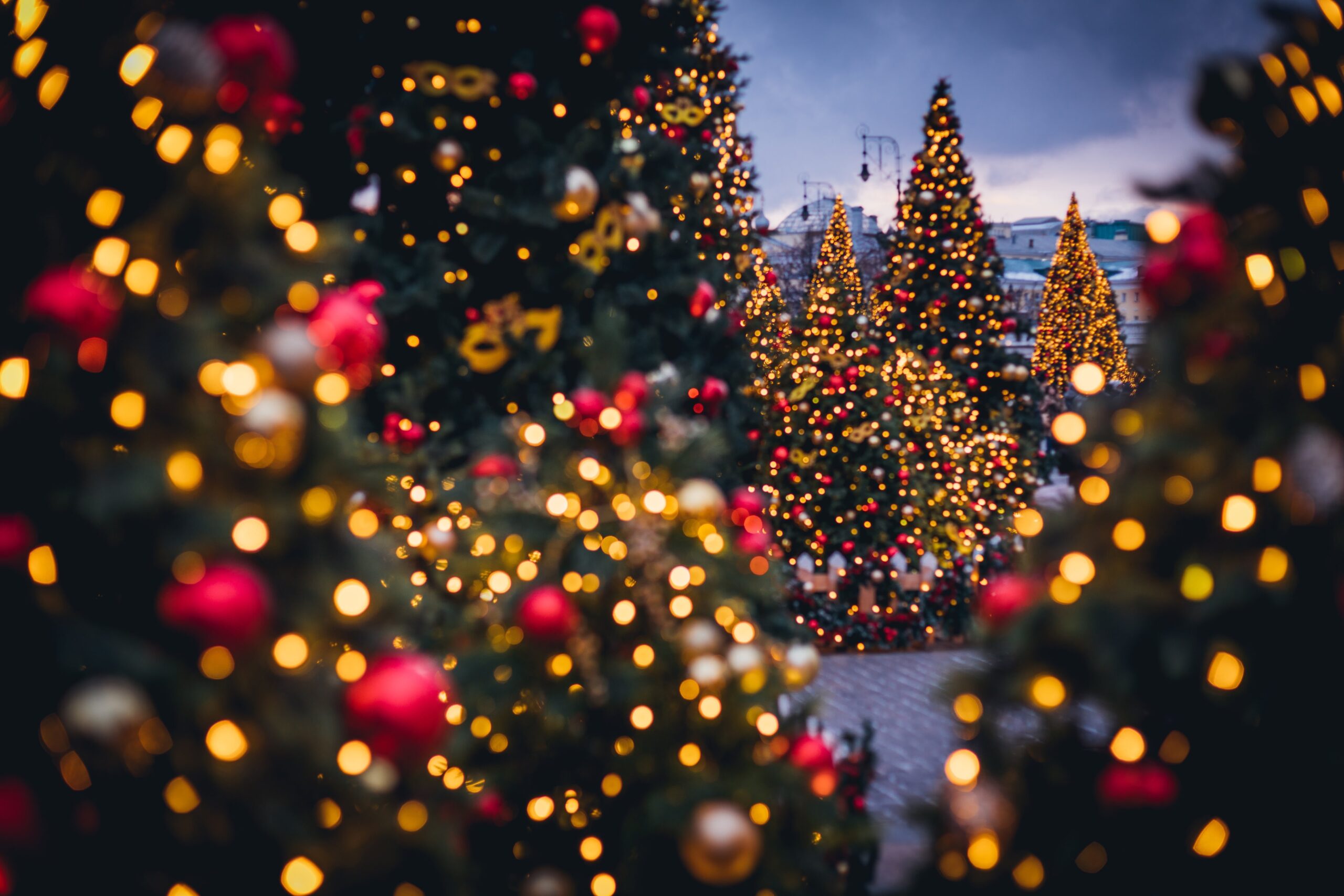 CHRISTMAS PERSONALITIES - 72Point.